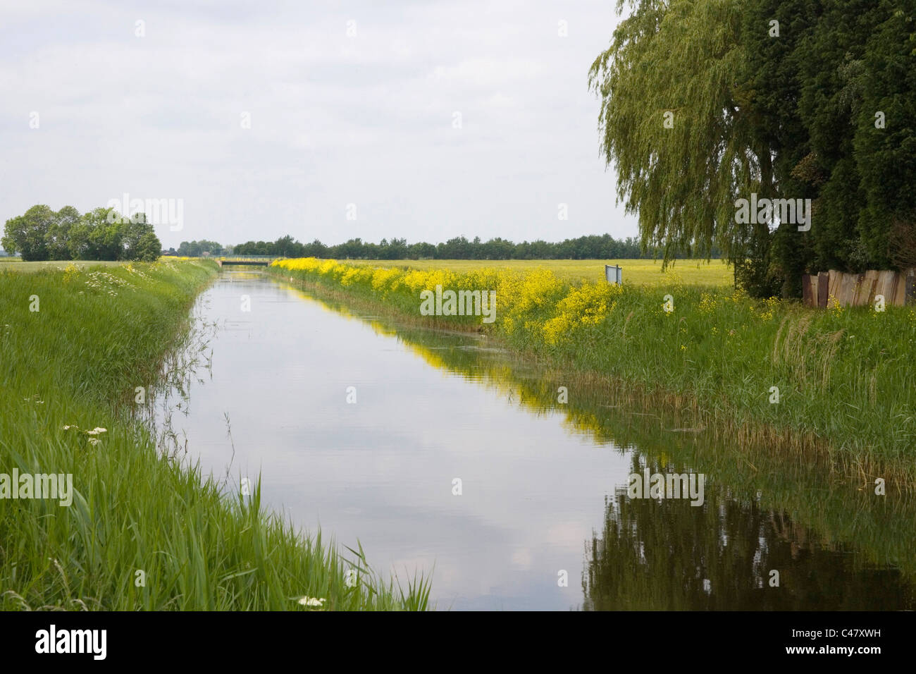 Lincolnshire Fens Stock Photos & Lincolnshire Fens Stock Images - Alamy