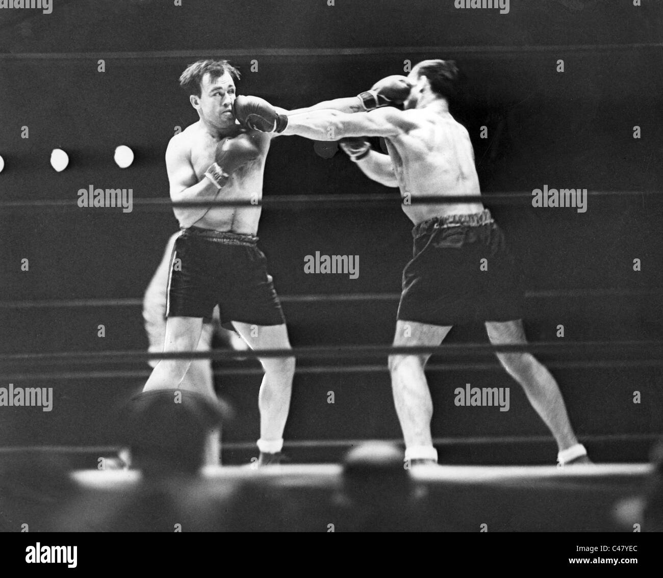 Sharkey hi-res stock photography and images - Alamy