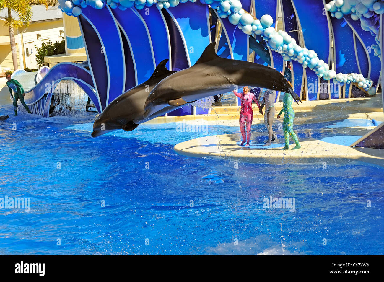 Sea World Adventure Theme Park Orlando Florida Dolphin show Stock Photo ...