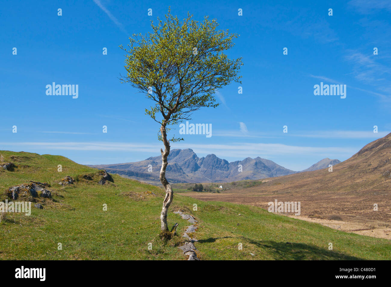 Black Cuillins from Strathaird, Isle of Skye, Highland region, Scotland ...