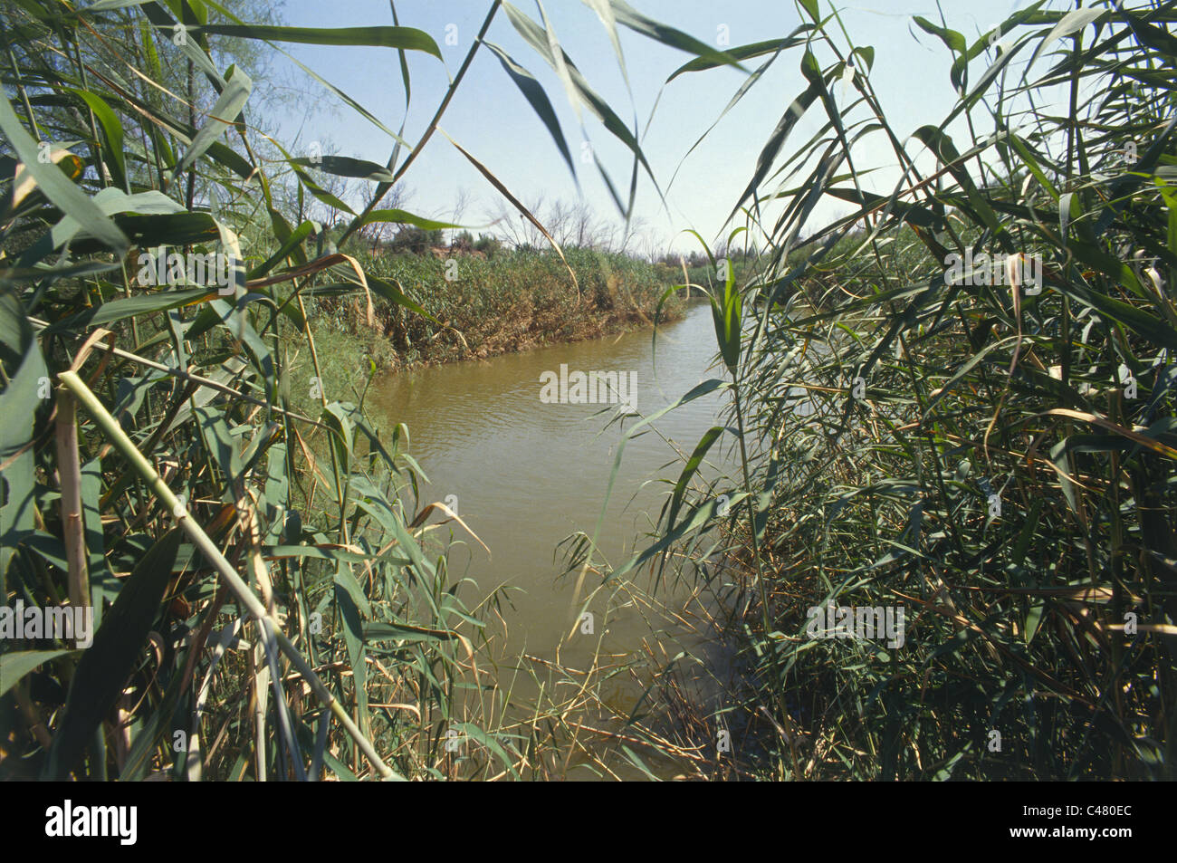 Photograph of the Jordan river Stock Photo - Alamy