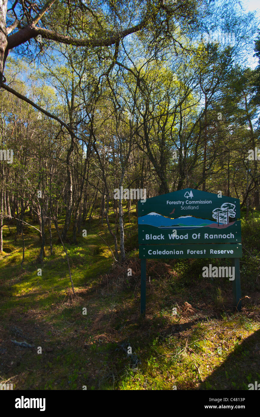 Black wood rannoch hi-res stock photography and images - Alamy