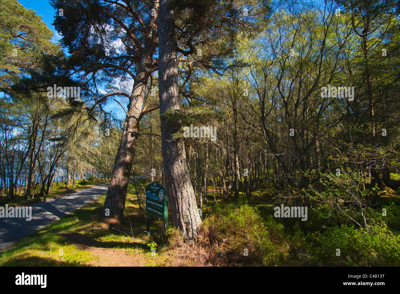 For Sale Loch Rannoch at Clarence Swingle blog