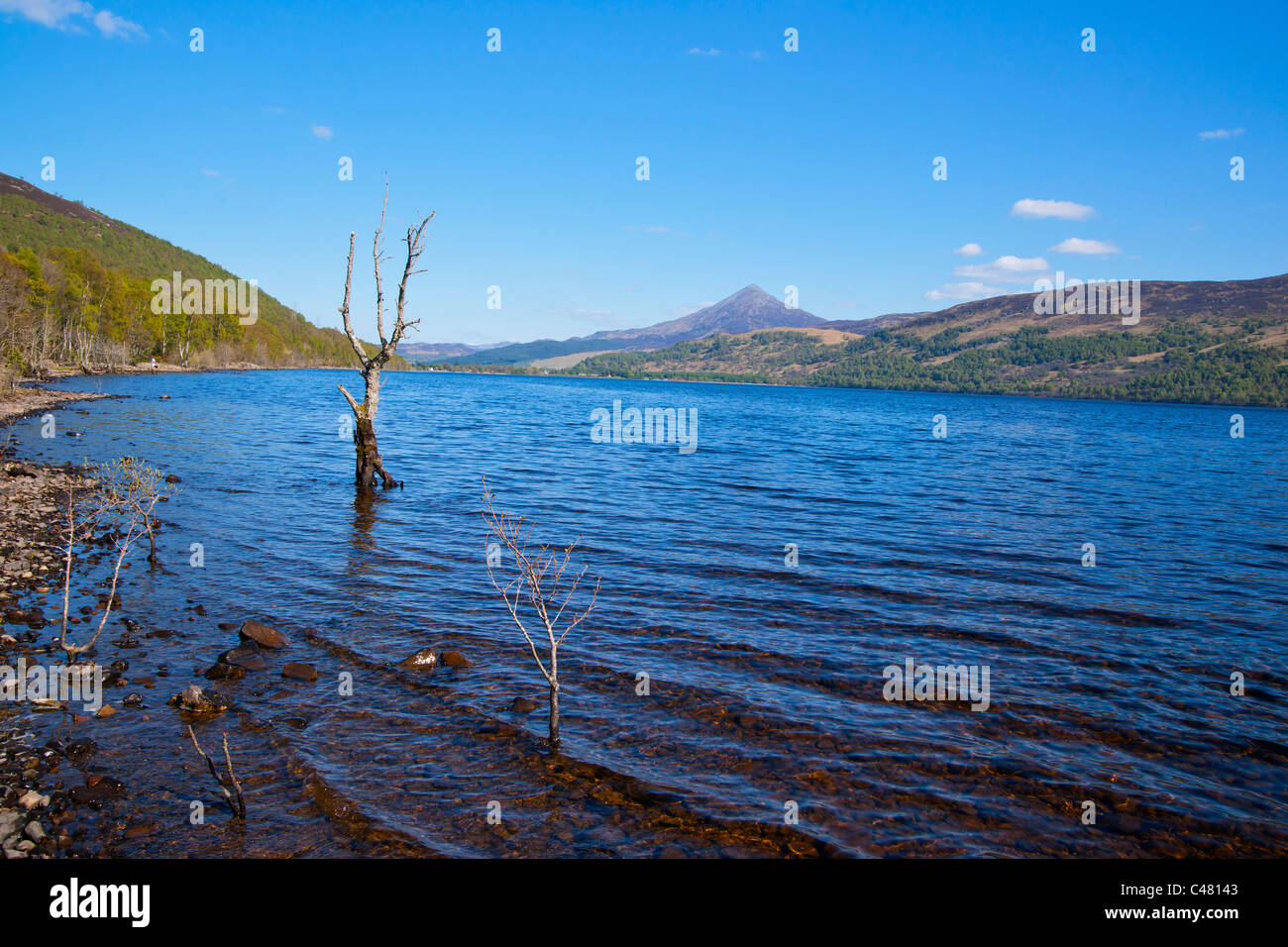 Schiehallion spring hi-res stock photography and images - Alamy