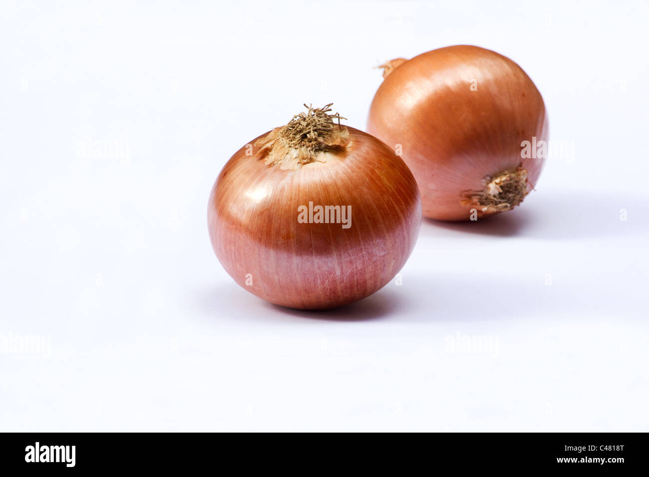 Two onions hi-res stock photography and images - Alamy