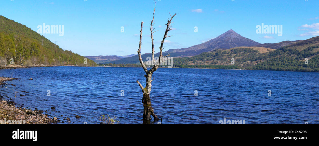 Schiehallion spring hi-res stock photography and images - Alamy