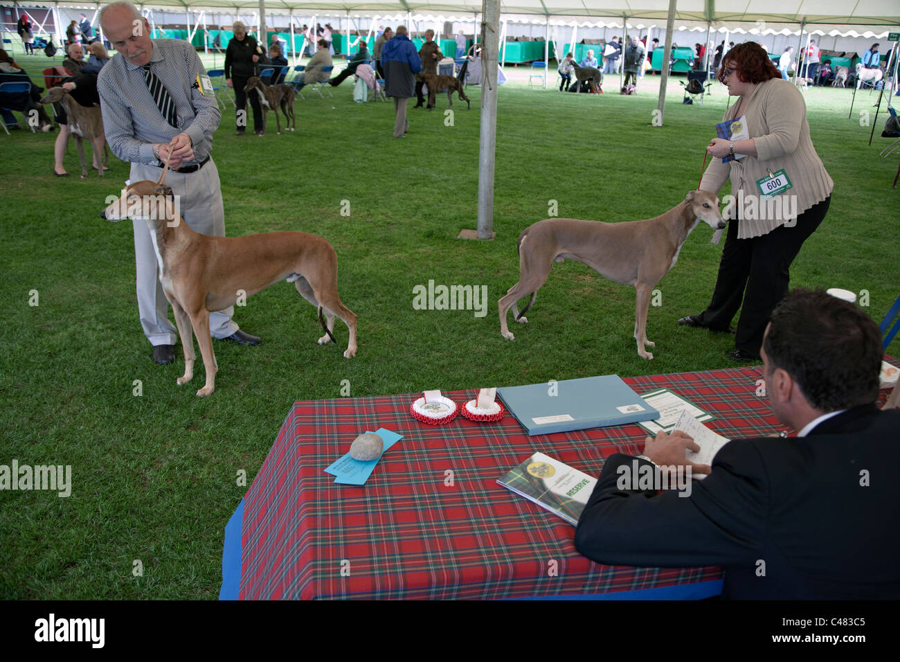 Scottish kennel club show in hi-res stock photography and images - Alamy
