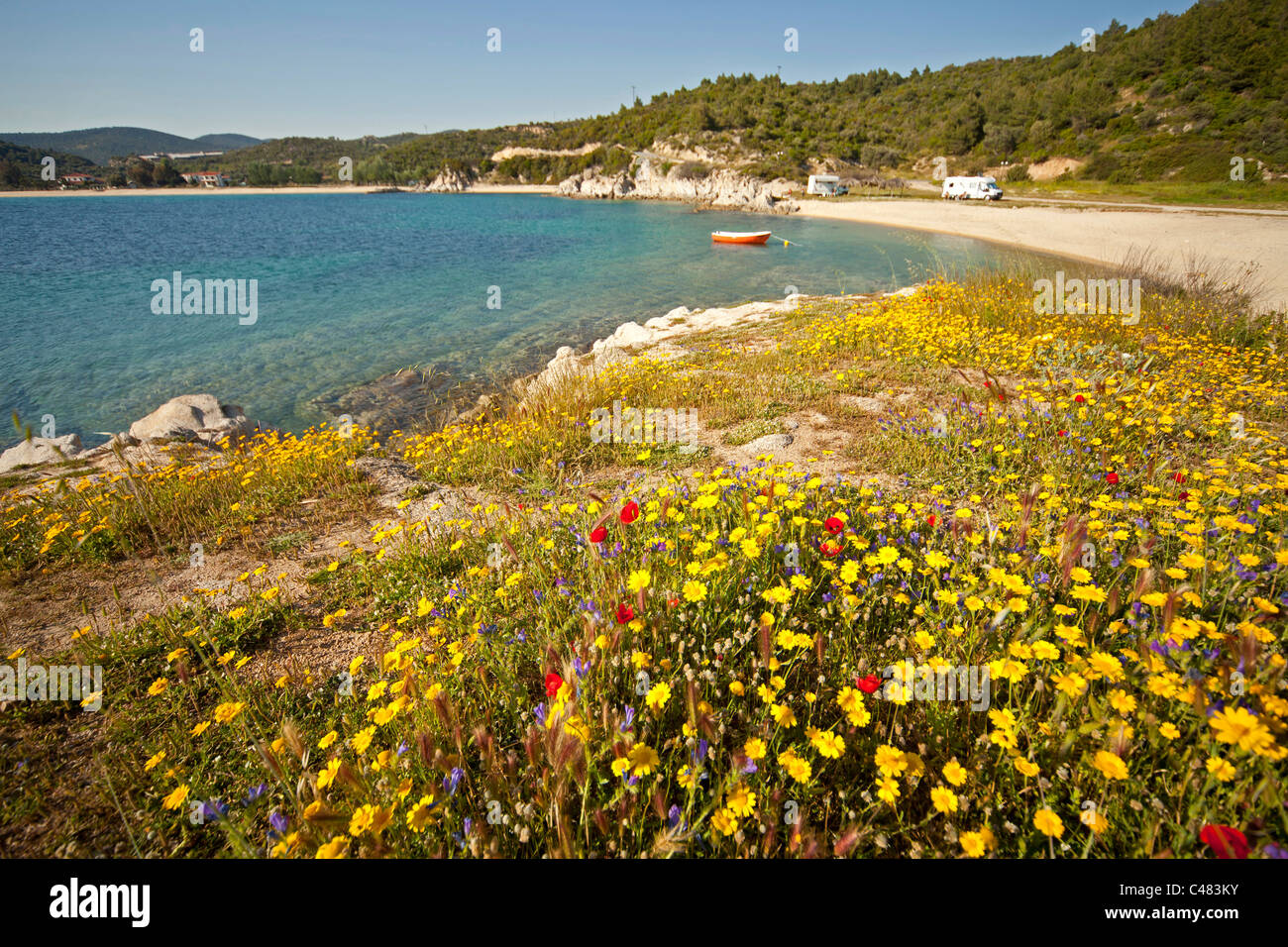 Colourful wild flowers hi-res stock photography and images - Alamy