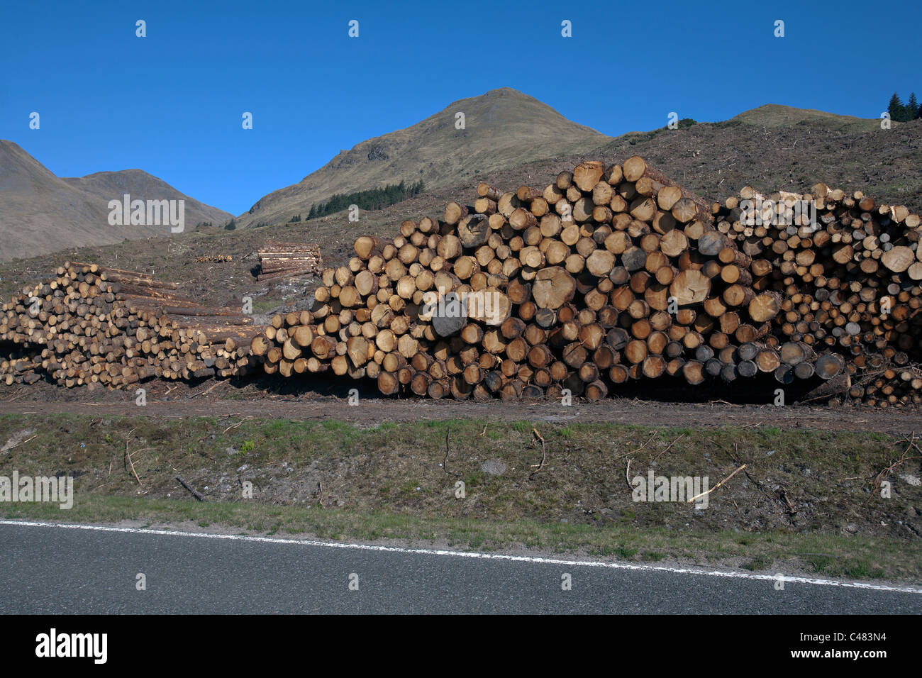 timber in scotland Stock Photo - Alamy