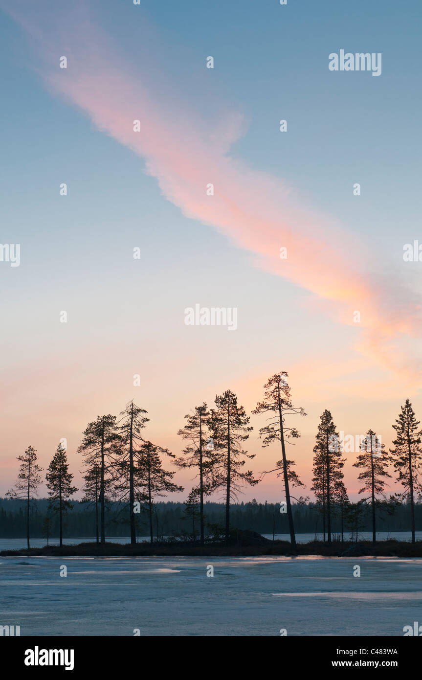 Evening in Lapland, North Sweden Stock Photo - Alamy