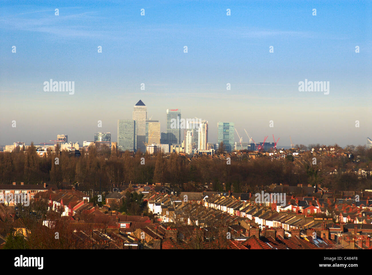 Honor oak hi-res stock photography and images - Alamy