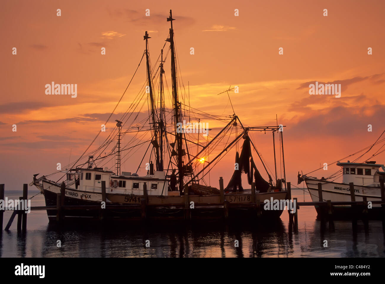 Amelia river hi-res stock photography and images - Alamy