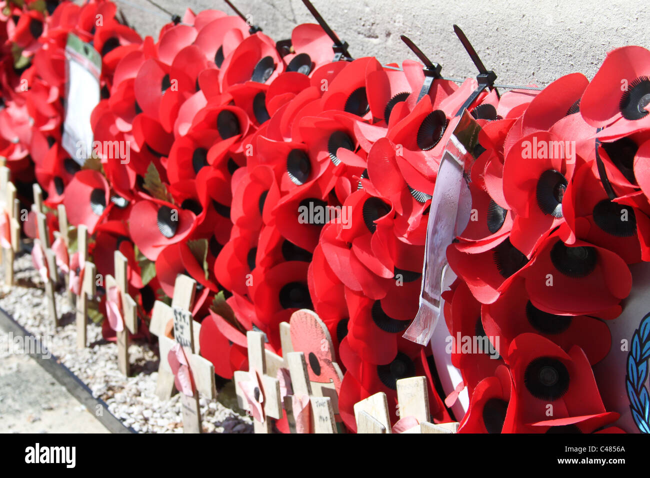 remembrance day poppy wreaths lined up against a memorial Stock Photo ...