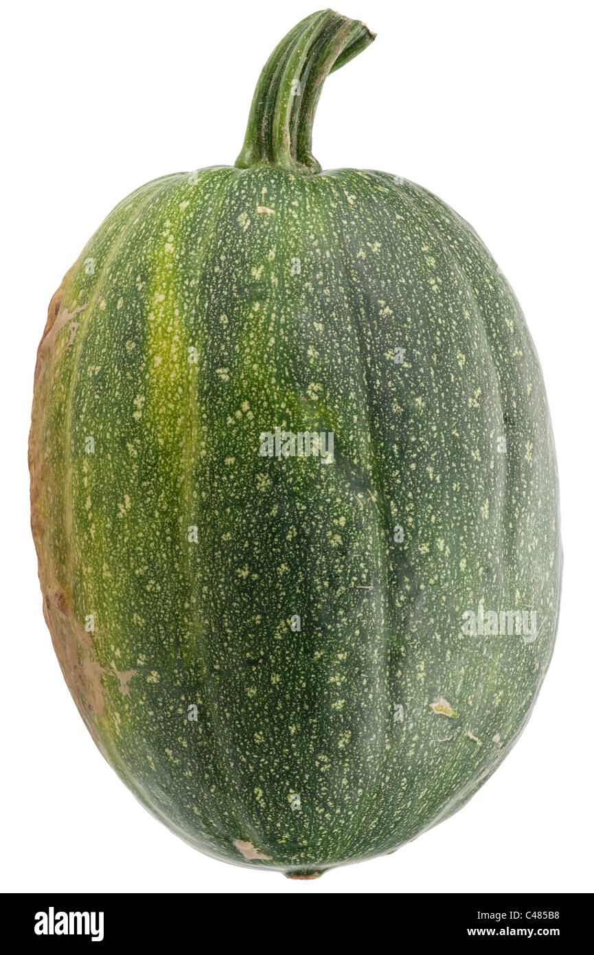 Green pumpkin isolated on white background Stock Photo - Alamy