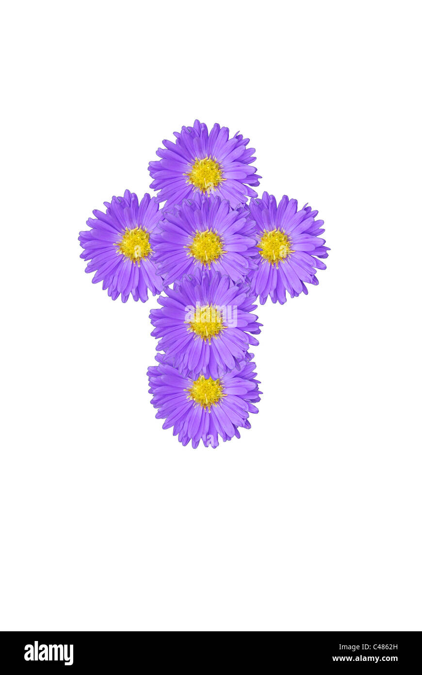 The flowers a flower at cross Cut Out Stock Images & Pictures - Alamy