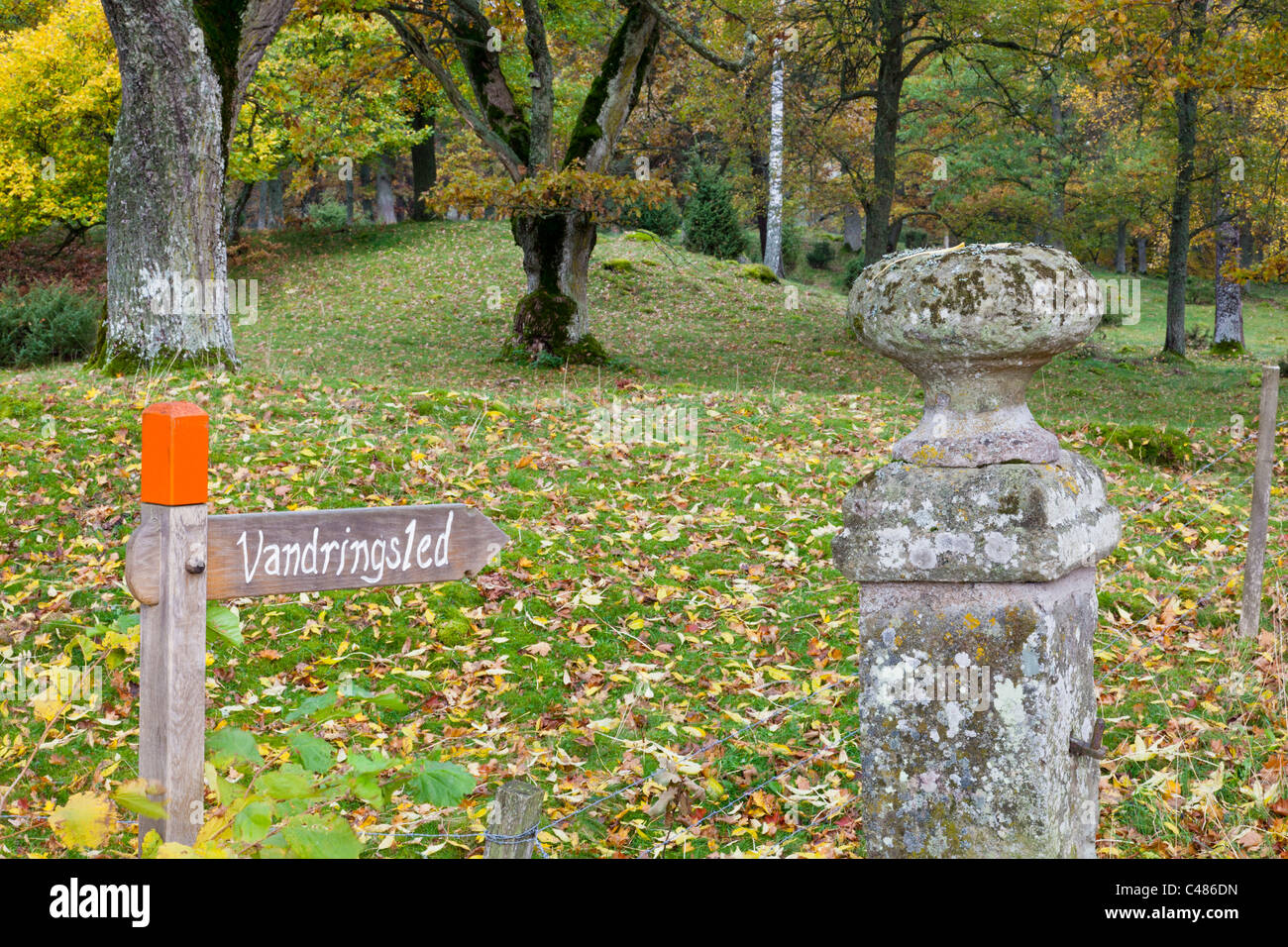 Countryside road with gate posts in the autumn woods Stock Photo - Alamy