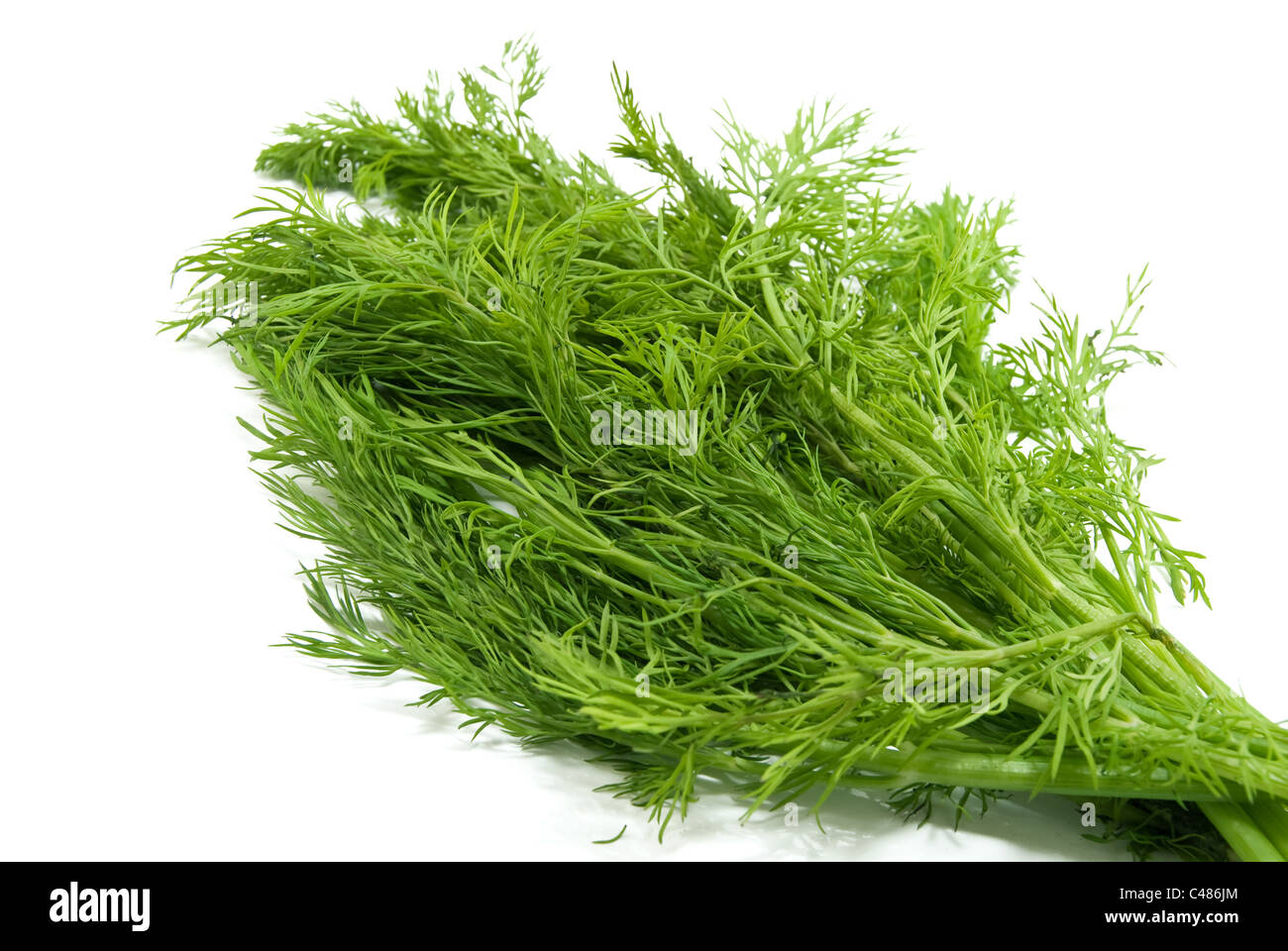 sheaf of green dill, isolated over white background Stock Photo - Alamy