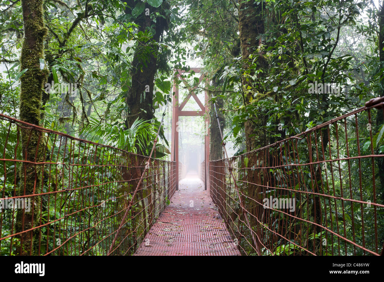 Monteverde Cloud Forest Preserve, Costa Rica Stock Photo - Alamy