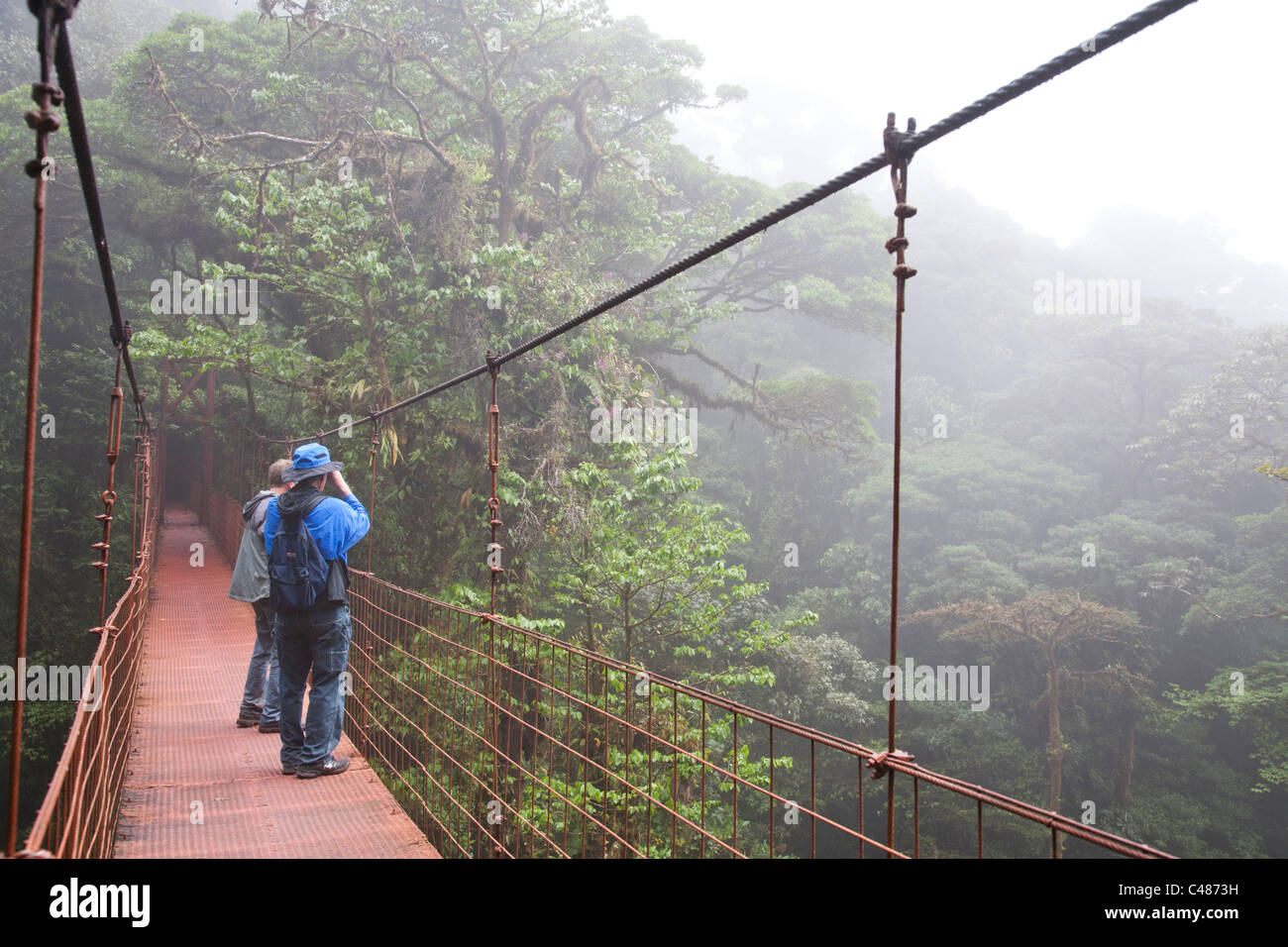 Monteverde Cloud Forest Preserve, Costa Rica Stock Photo - Alamy