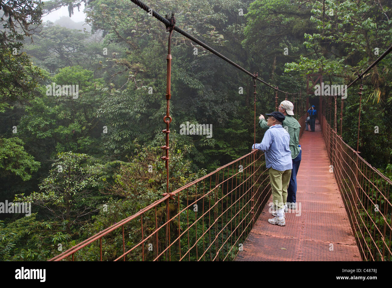 Monteverde Cloud Forest Preserve, Costa Rica Stock Photo - Alamy