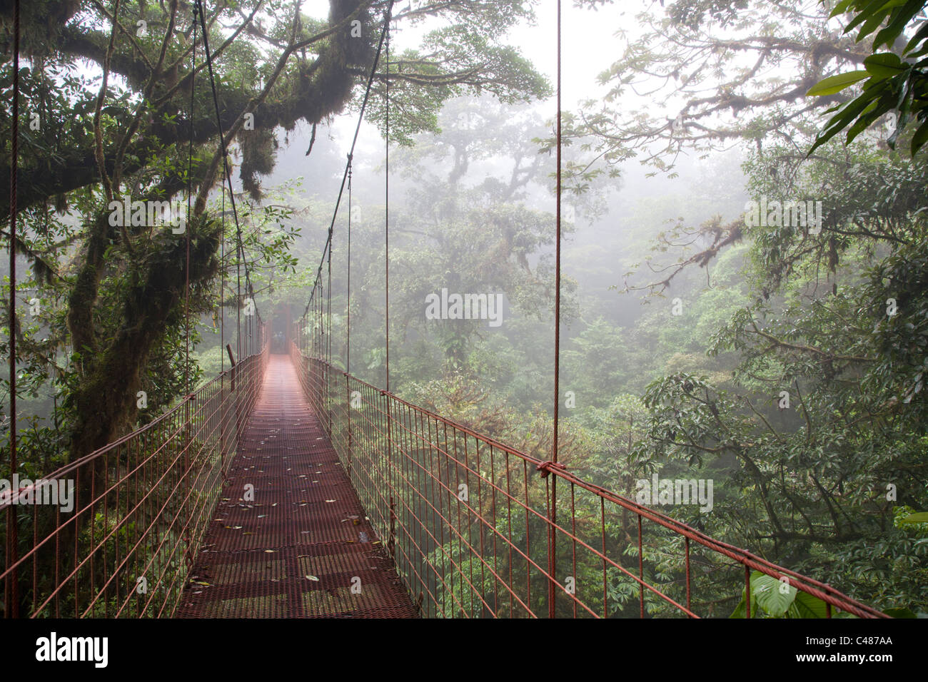 Monteverde Cloud Forest Preserve, Costa Rica Stock Photo - Alamy