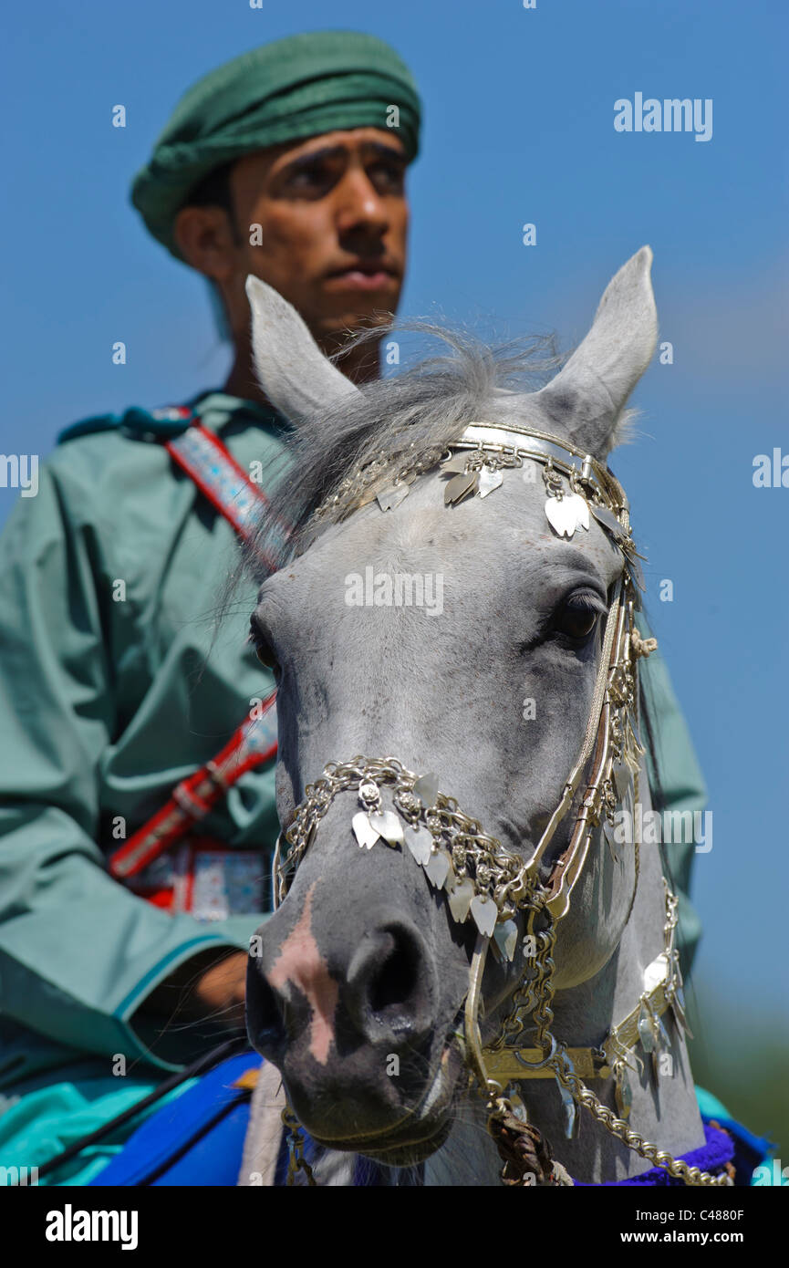 arabian Royal Cavalry of Oman in original costume on arabic horse while ...