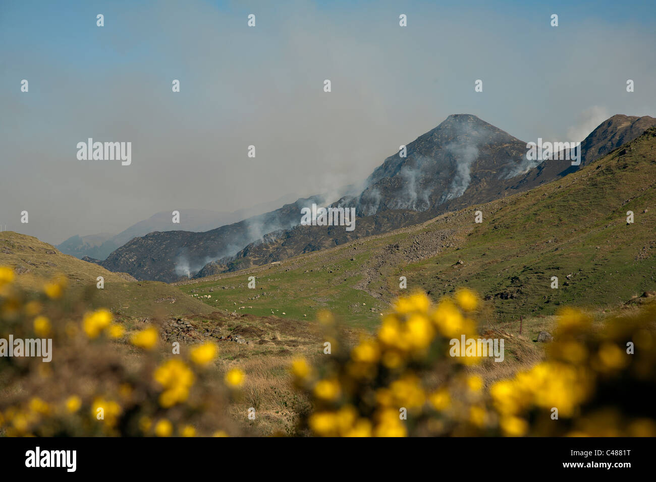 Wildfire scotland fire hi-res stock photography and images - Alamy