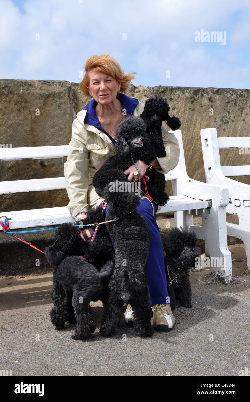 Dog breeder hi-res stock photography and images - Alamy