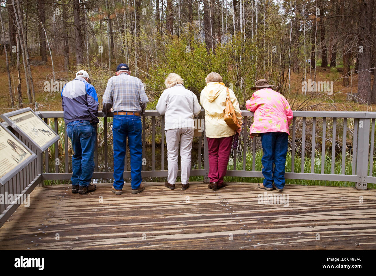 A group of senior citizens watch birds in a nature park Stock Photo - Alamy