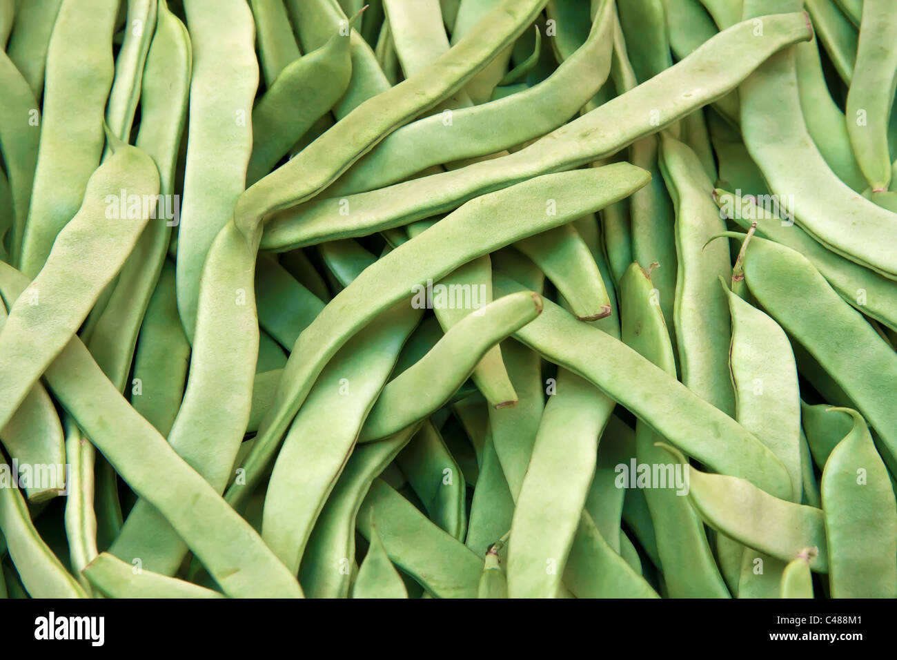 Green beans close up top view Stock Photo - Alamy