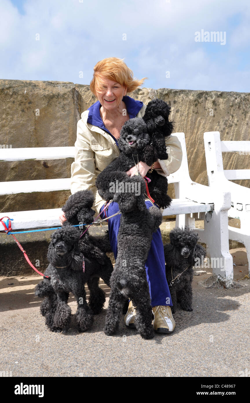 Dog breeder hi-res stock photography and images - Alamy