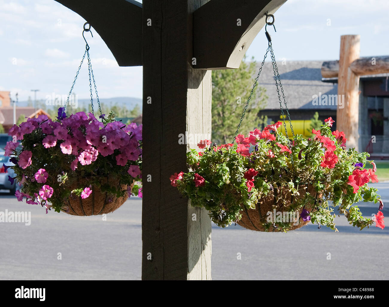 Beam blooms hi-res stock photography and images - Alamy