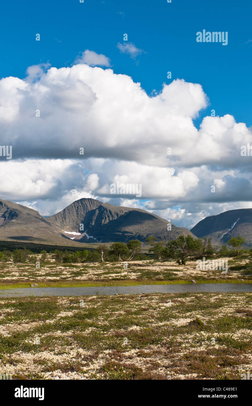 Rendalen hi-res stock photography and images - Alamy