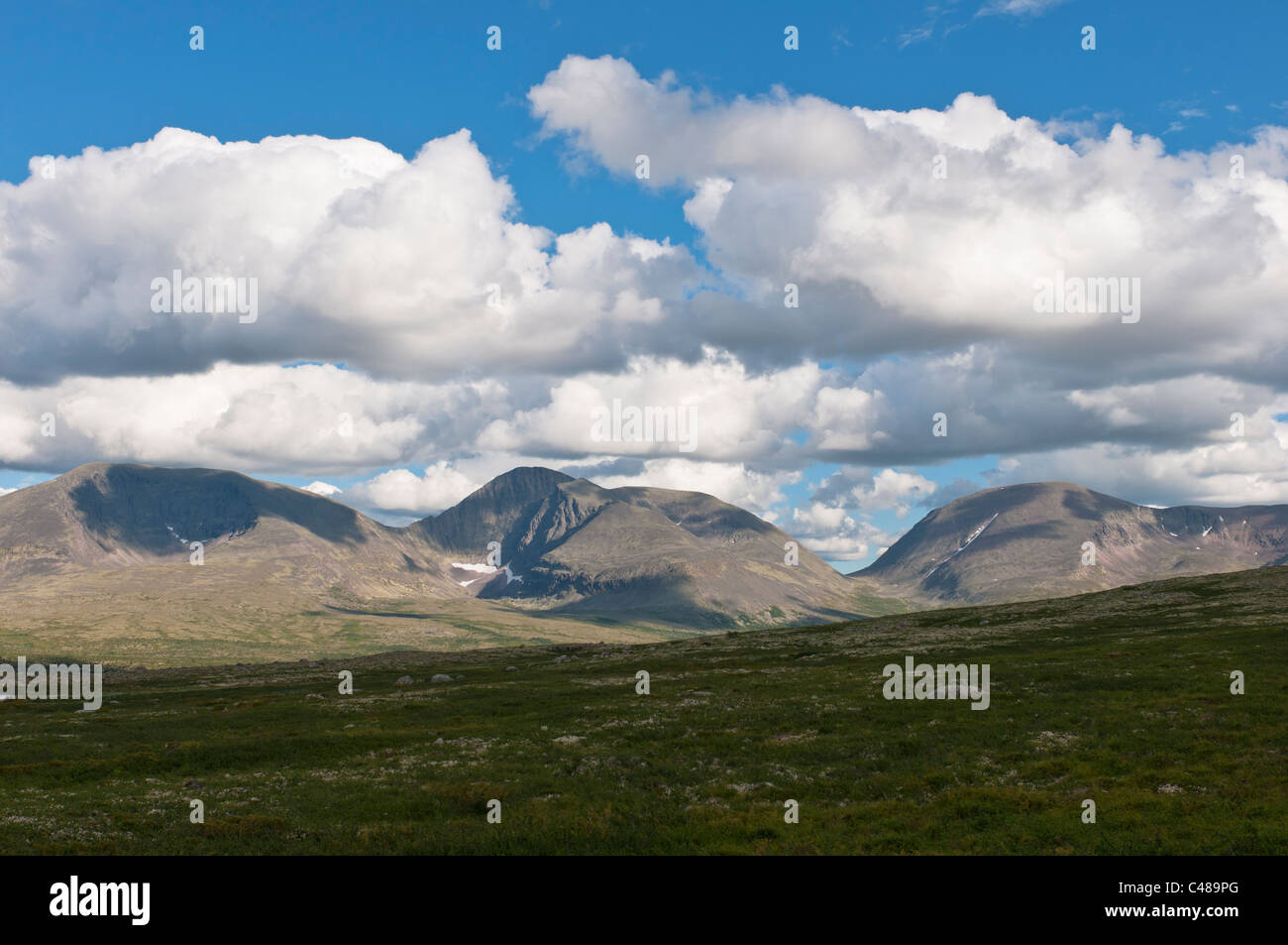 Rendalen hi-res stock photography and images - Alamy
