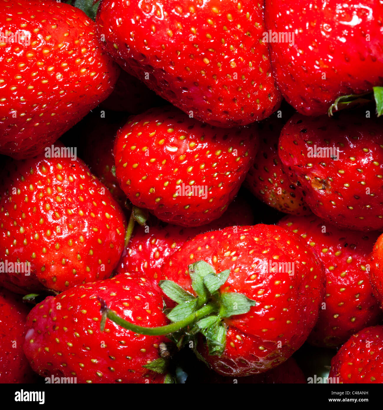Beautiful large strawberries hi-res stock photography and images - Alamy