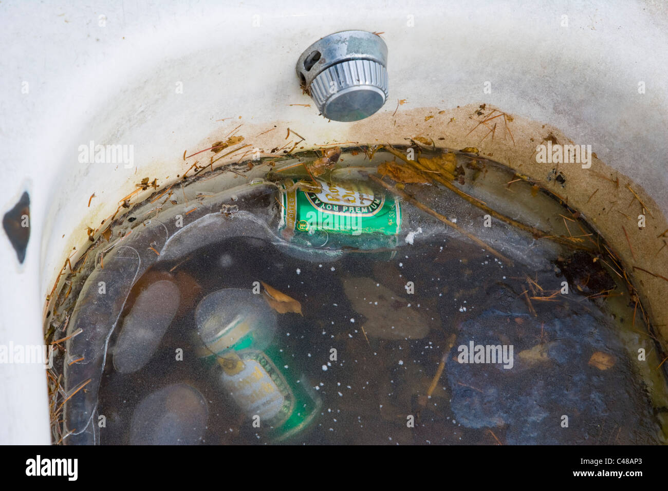 Cold beer in cans hi-res stock photography and images - Alamy