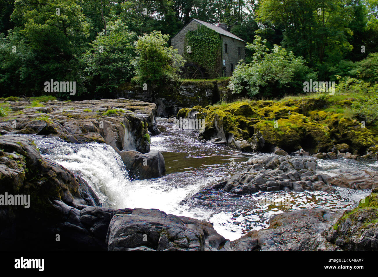 Cenarth falls salmon hi-res stock photography and images - Alamy