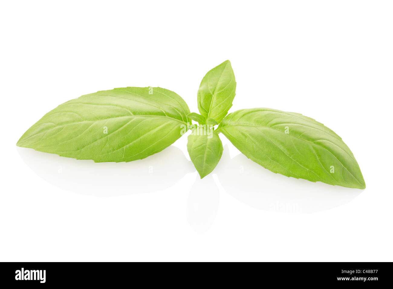 Basil hi-res stock photography and images - Alamy