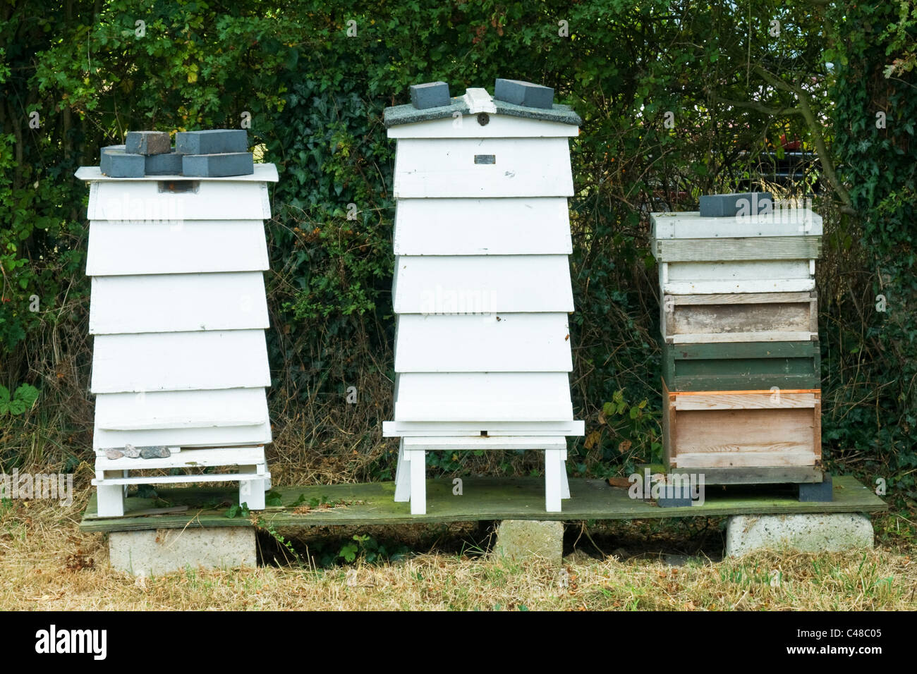 Three English different size beehives in a row Stock Photo - Alamy