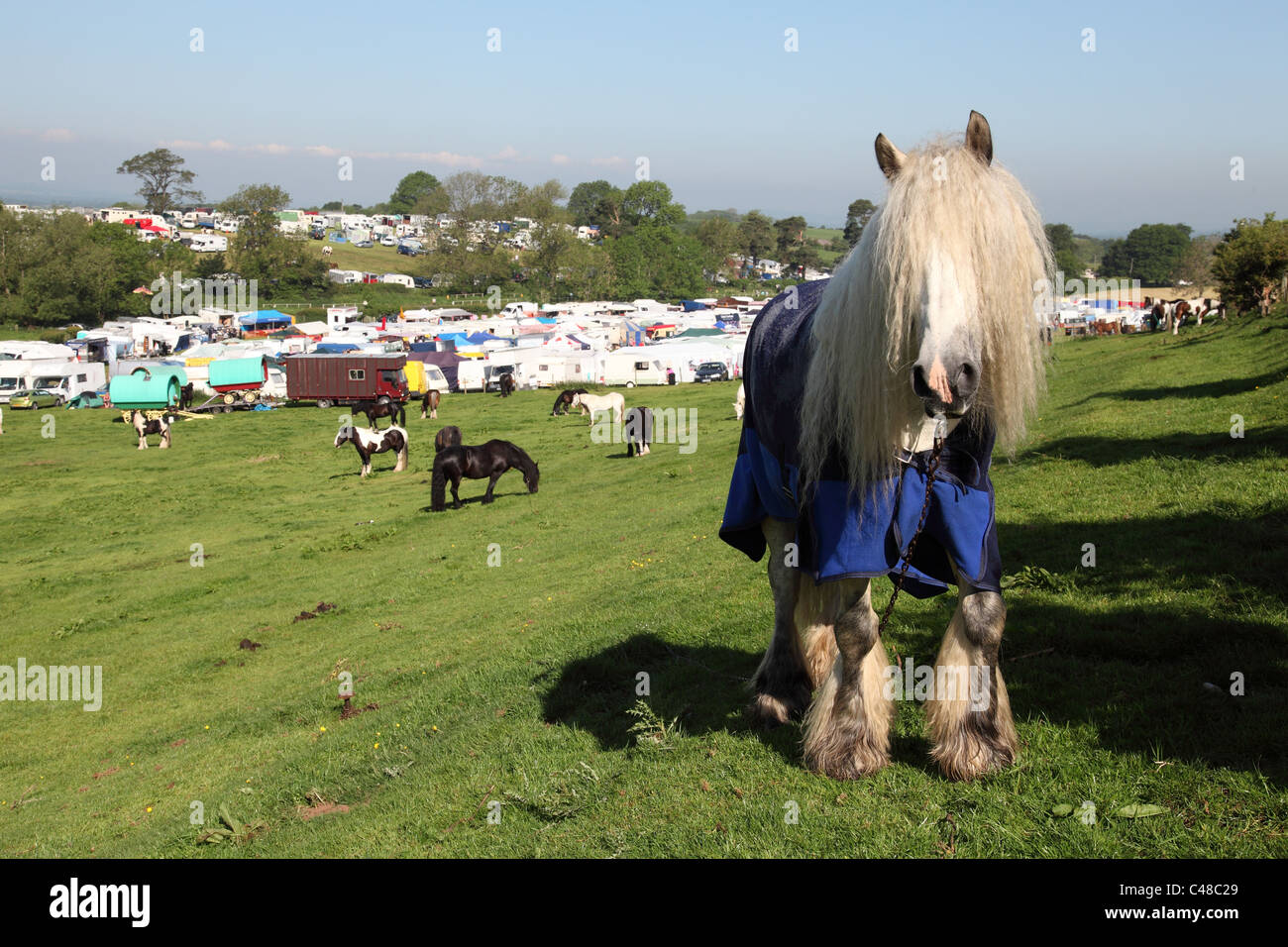 Appleby Horse Fair, Appleby-In-Westmorland, Cumbria, England, U.K Stock ...
