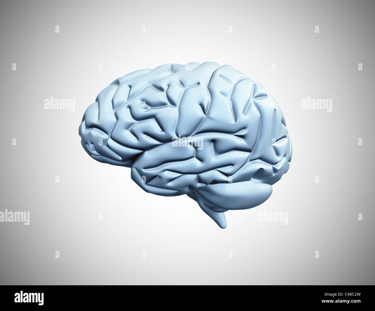 Human brain 3d illustration Stock Photo - Alamy