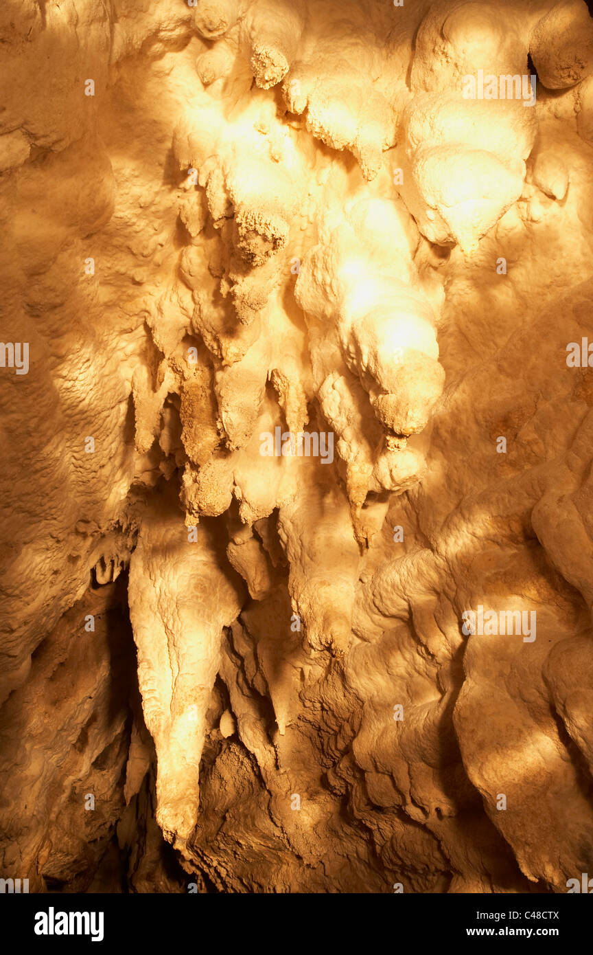 Fox River Cave, Punakaiki, Paparoa National Park, West Coast, South ...