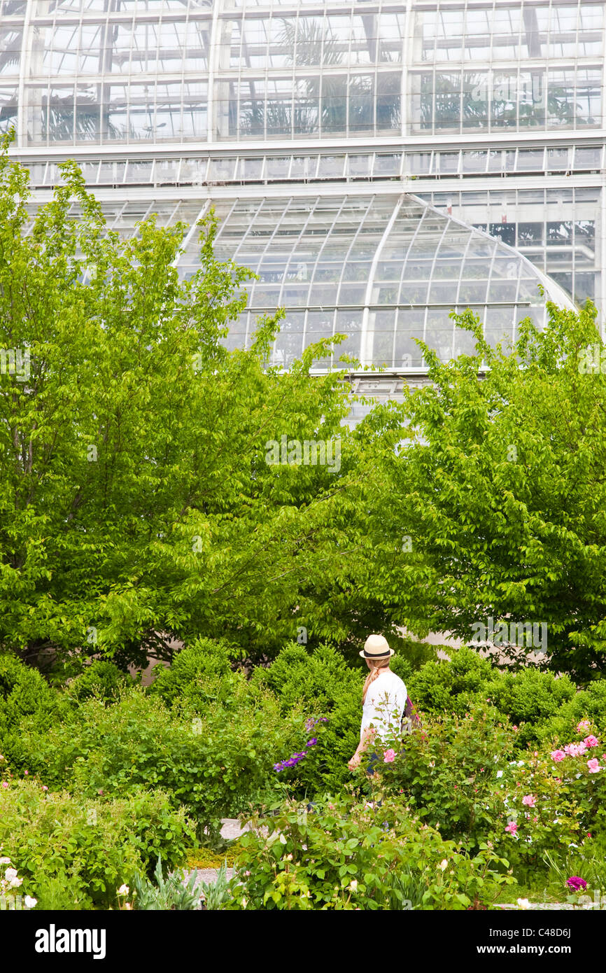 United States Botanic Garden Conservatory, Washington DC Stock Photo ...