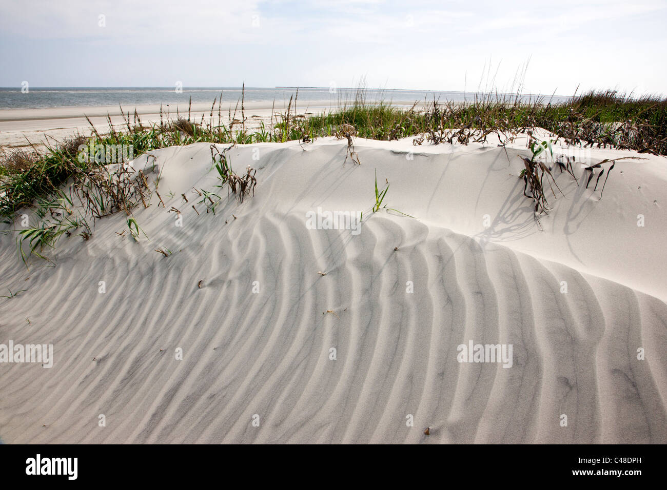 South carolina charleston beach grass hi-res stock photography and ...