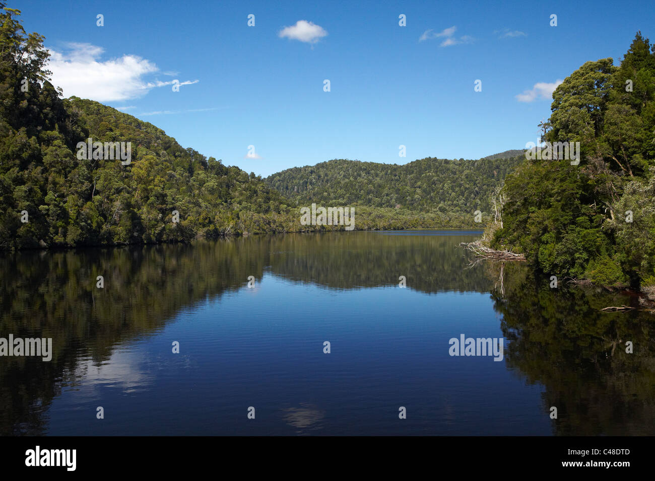 Forest reflected in Gordon River, Franklin - Gordon Wild Rivers ...