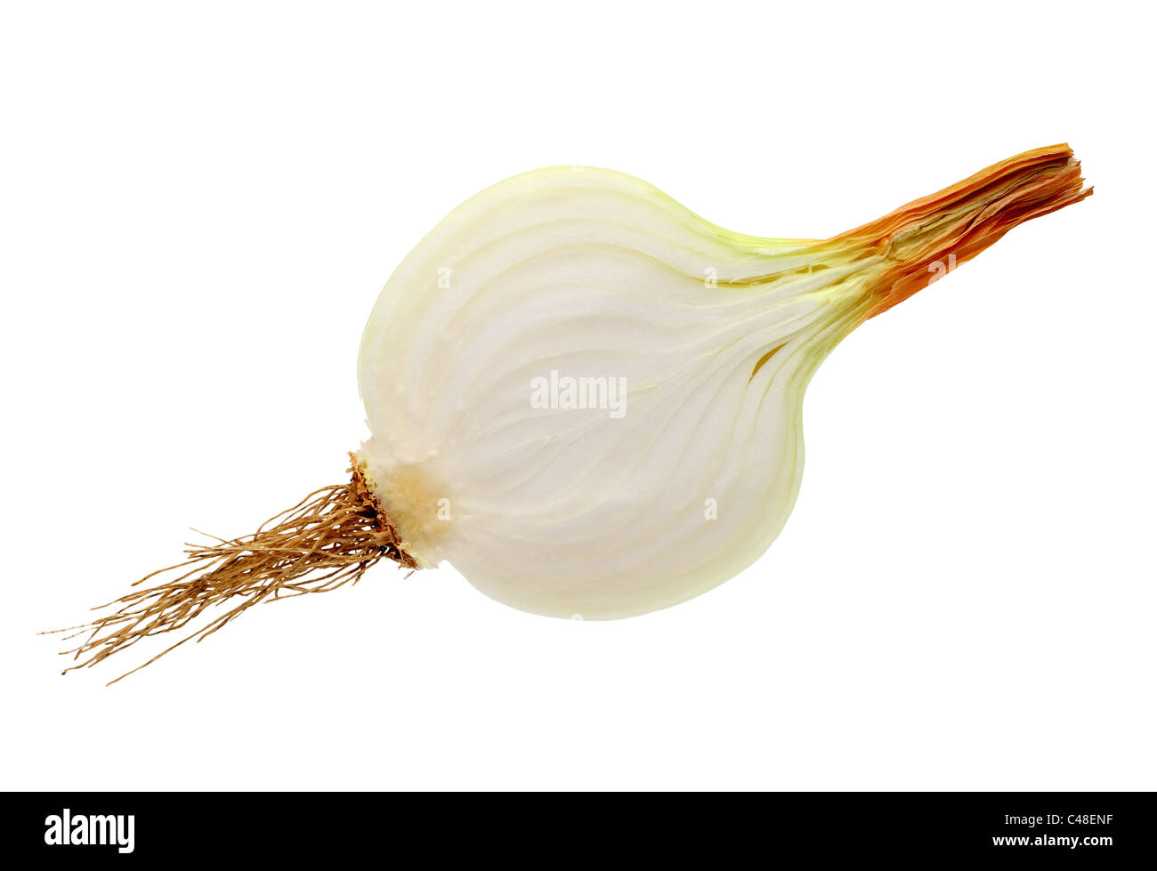 Sliced onion isolated on white background Stock Photo - Alamy
