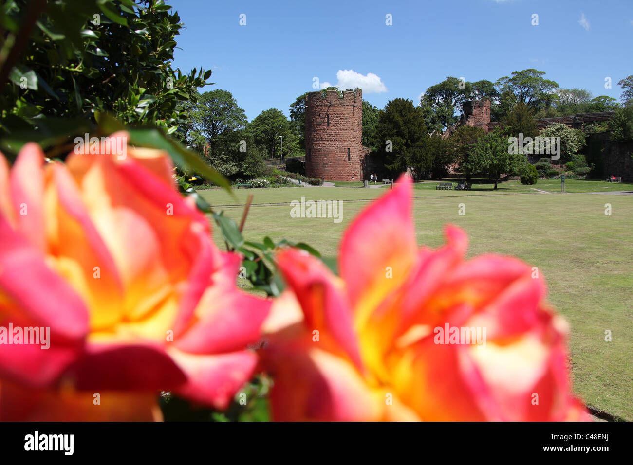 Water tower gardens chester hi-res stock photography and images - Alamy