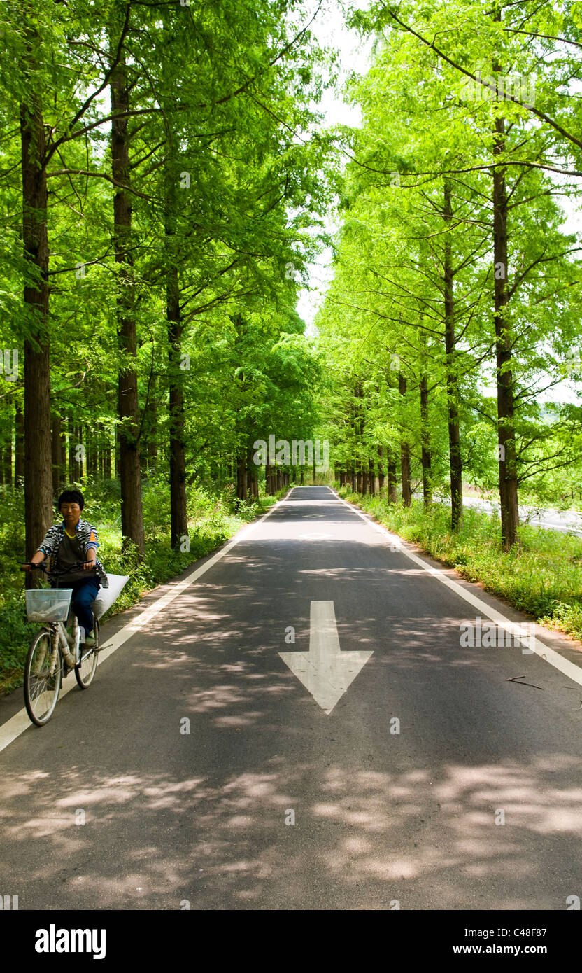 Cycling on a one way road Stock Photo - Alamy