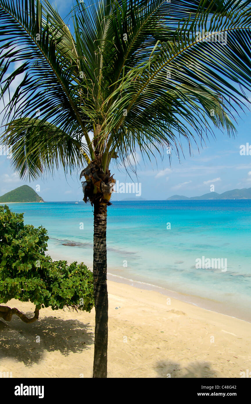 Beautiful coastline of tortola hi-res stock photography and images - Alamy