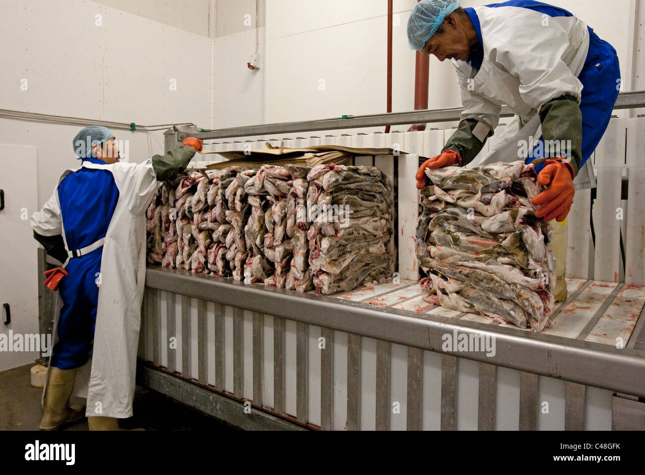 Royal Greenland Cod Processing Facility in Nuuk, Greenland Stock Photo ...